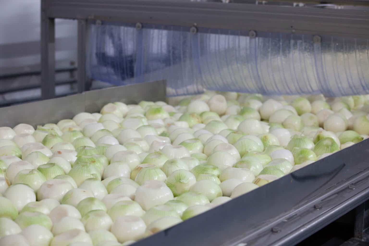Onions - VegPro4 - Your Preferred Fresh Cut Vegetable Supplier Onions