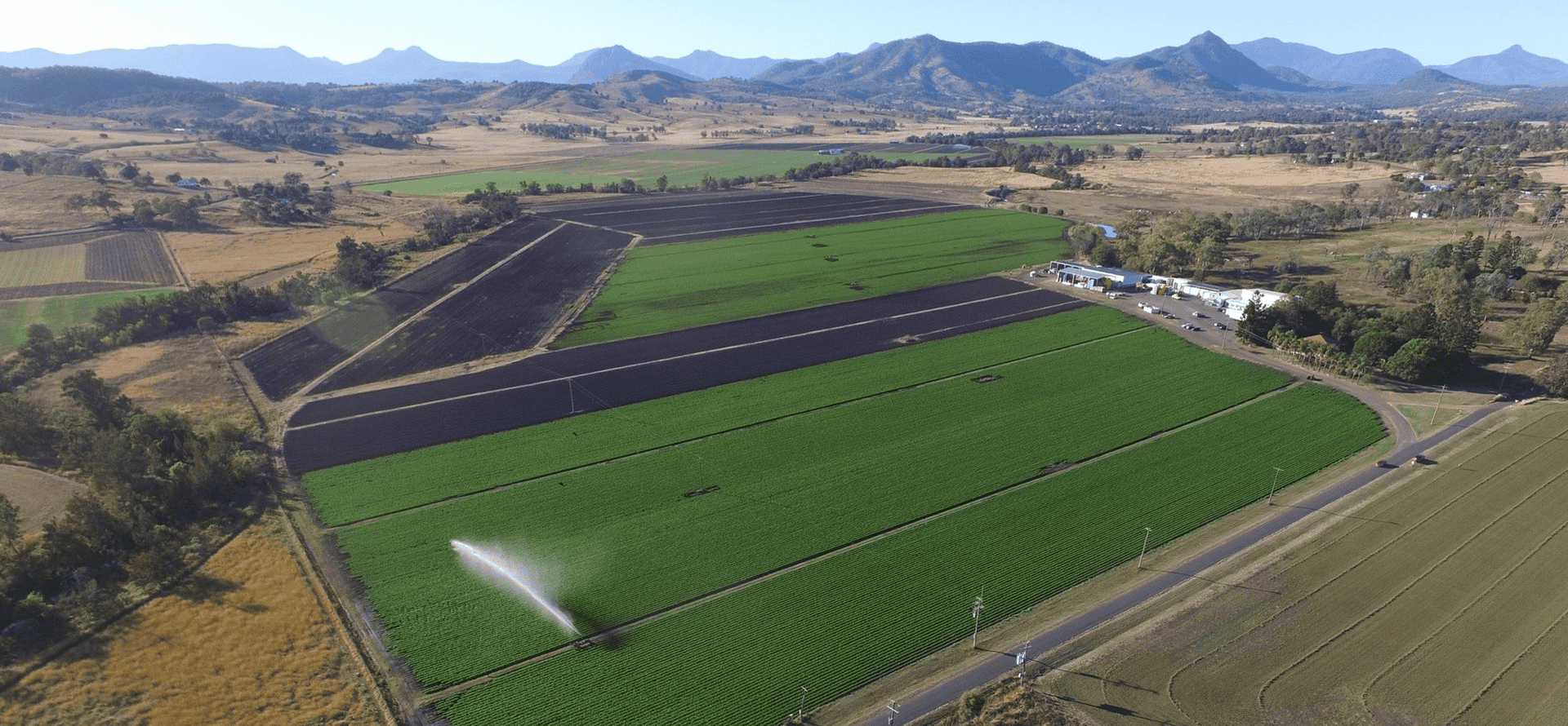 VegPro4 - Wholesale Fresh Cut Vegetable Suppliers