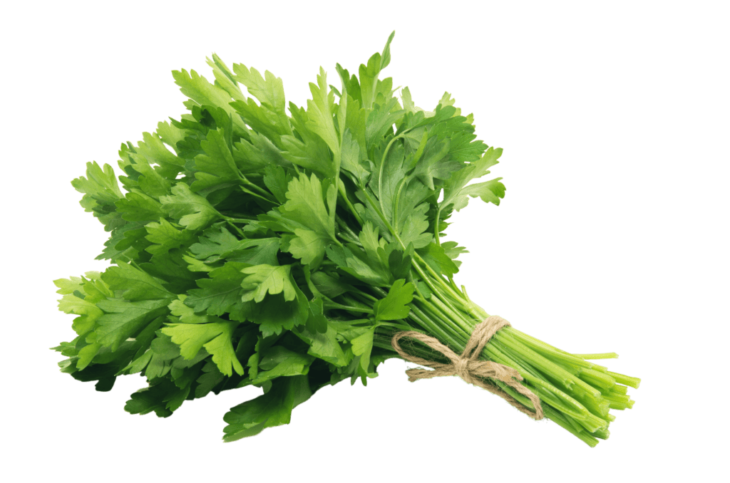 Wholesale Ready Cut Vegetable Products - VegPro4