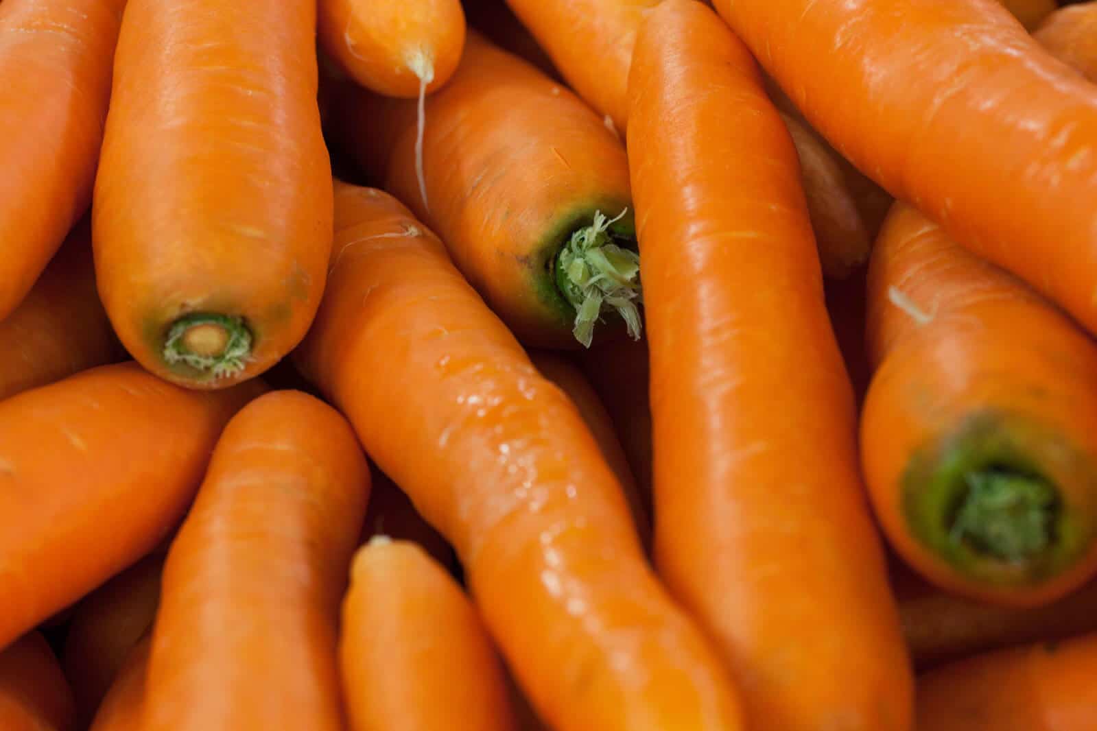 Carrots - VegPro4 - Your Preferred Fresh Cut Vegetable Supplier Carrots