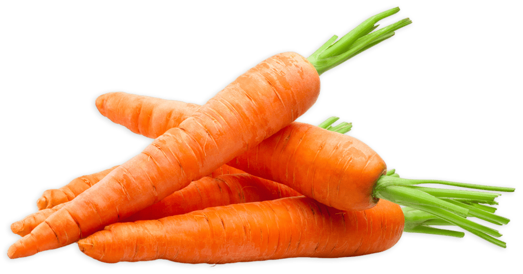 Wholesale Ready Cut Vegetable Products - VegPro4