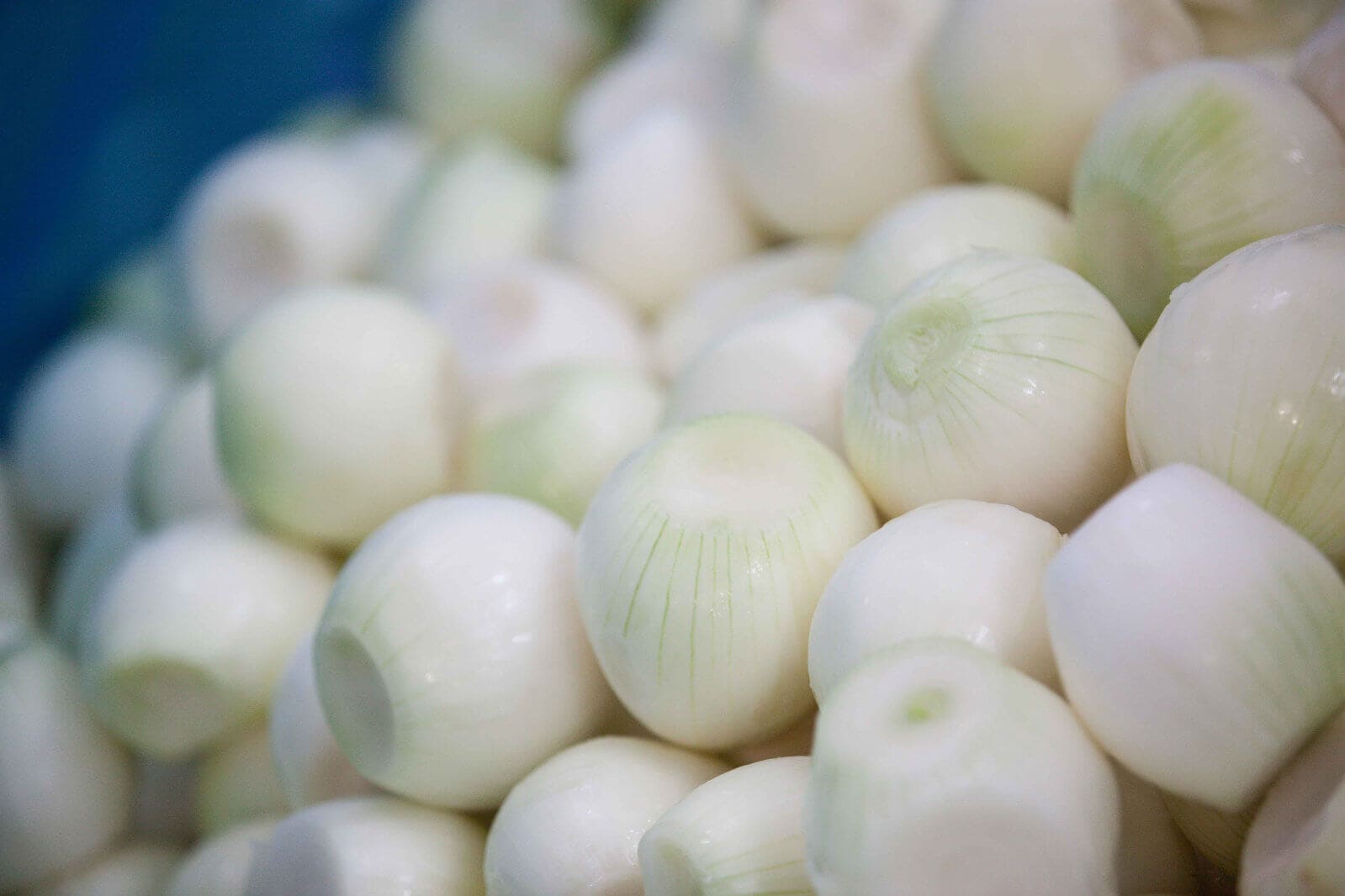 Onions - VegPro4 - Your Preferred Fresh Cut Vegetable Supplier Onions